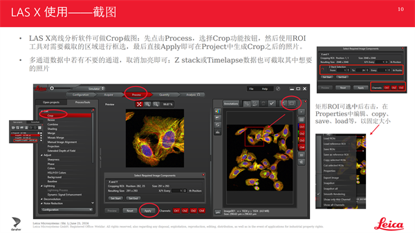 徕卡共聚焦离线版软件LAS X安装使用指南 | 徕卡显微系统